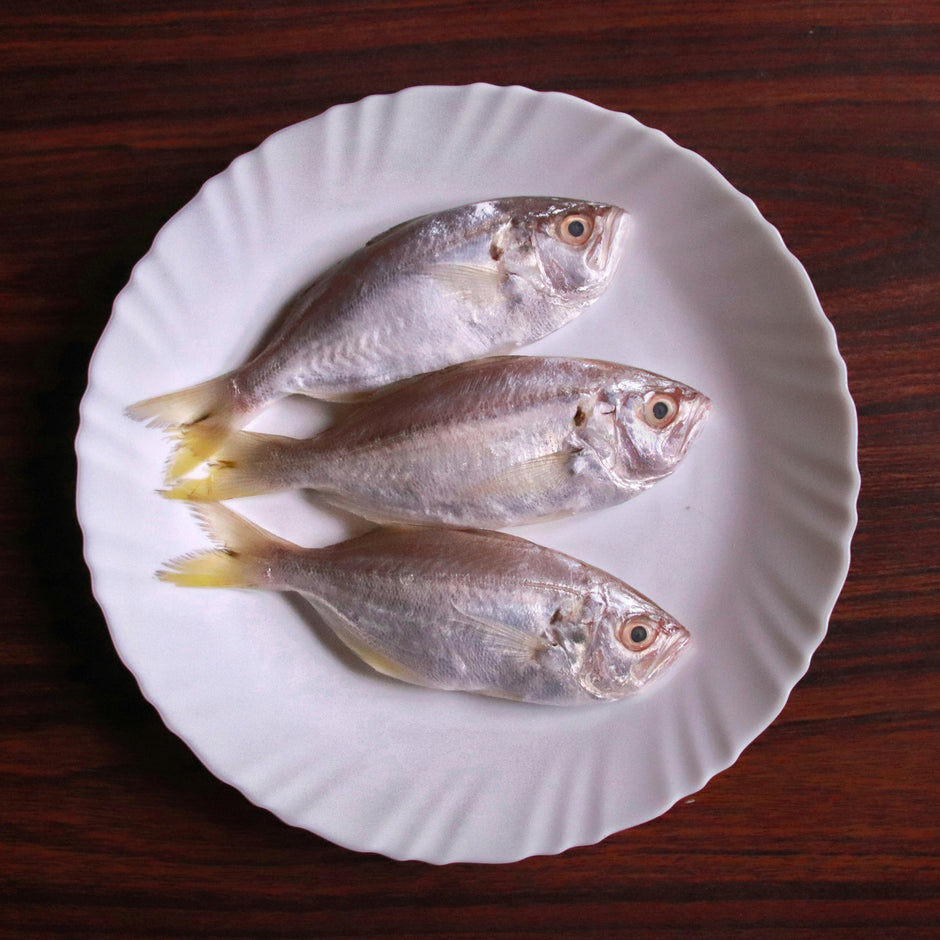 Fish – Meen Boy