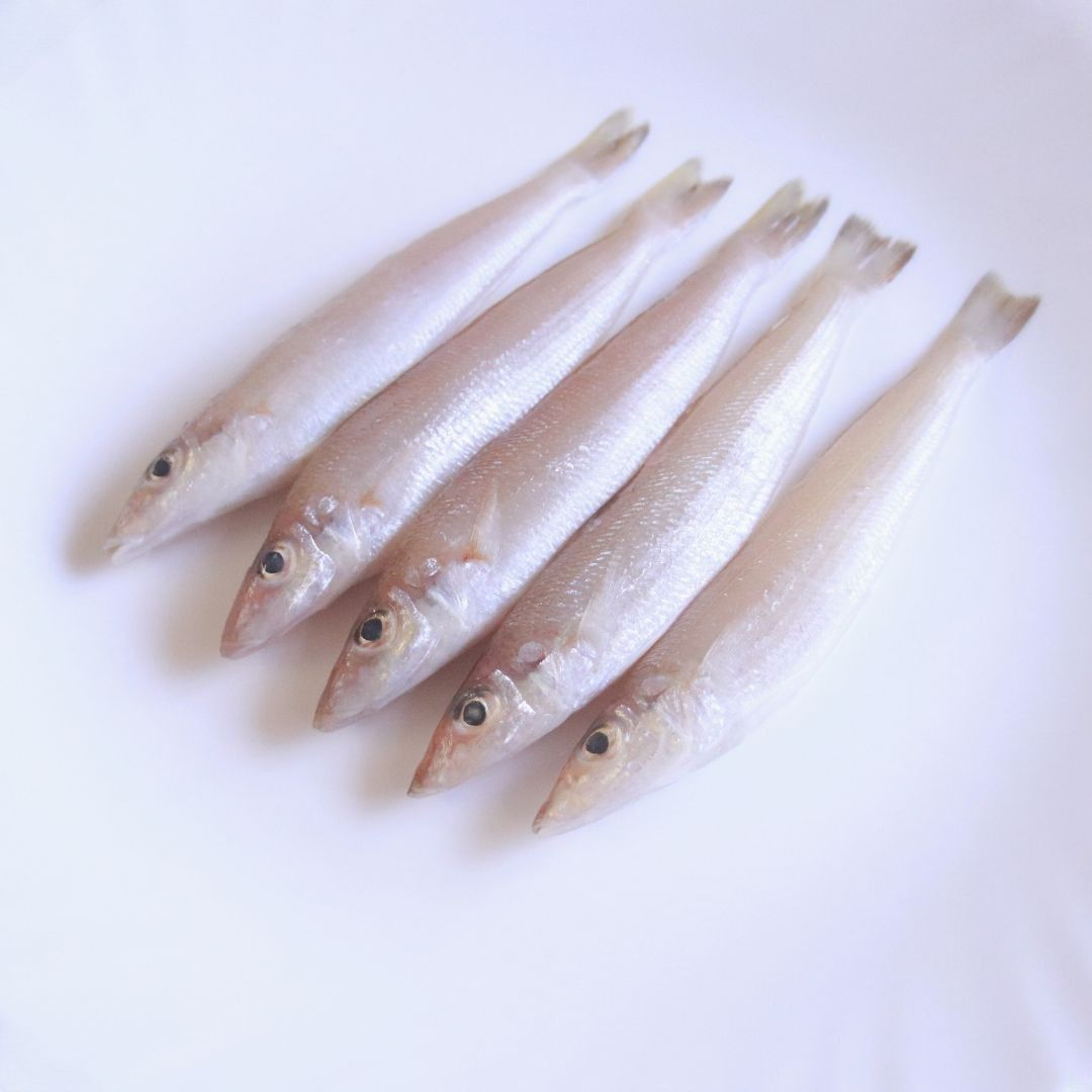 Lady Fish | வெள்ளை கிழங்கான் (500g) – Meen Boy