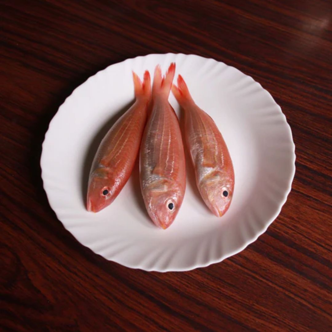 Pink Perch | சங்கரா / ரோமியோ நகரை (500g) – Meen Boy