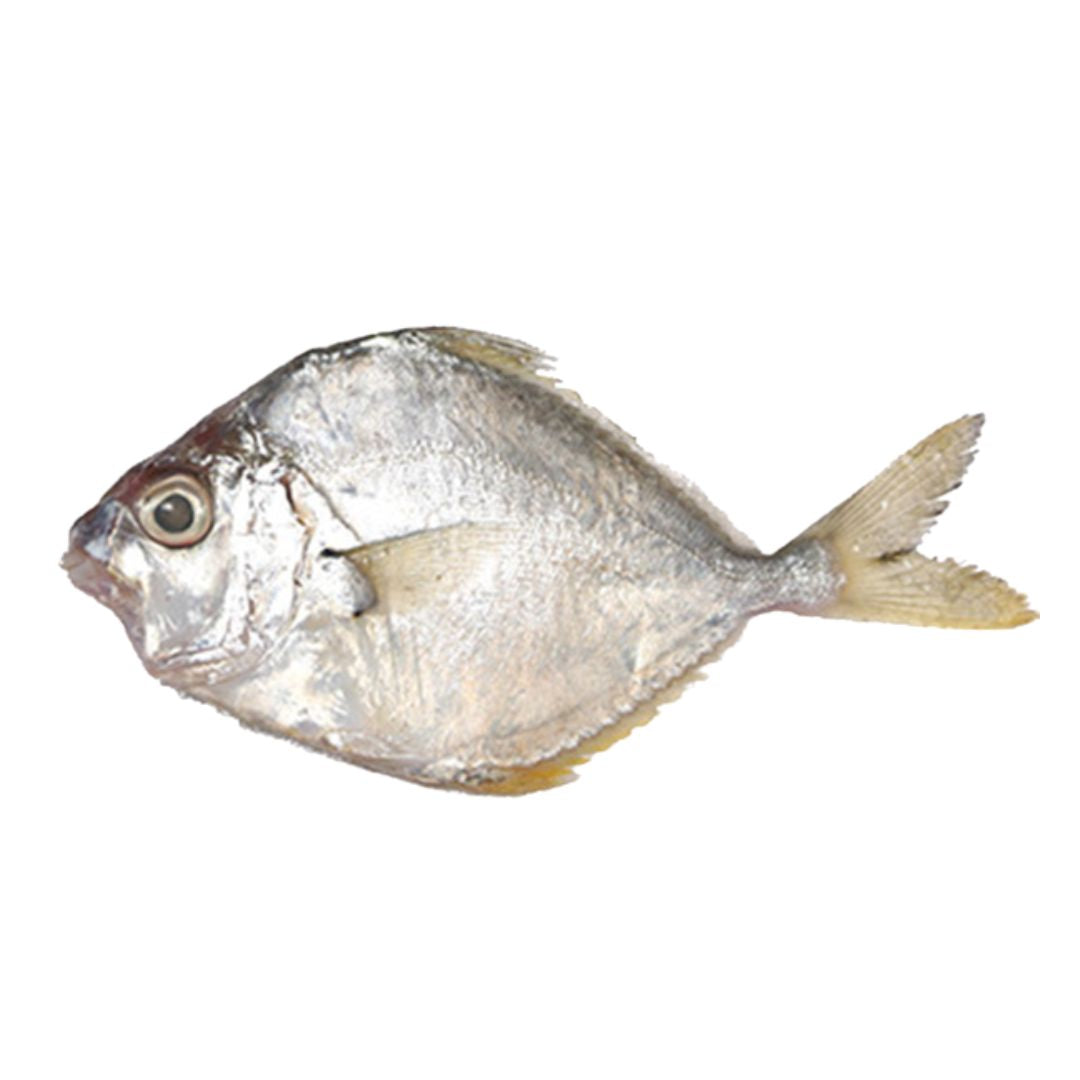 Silver Belly Fish | காராப்பொடி (1kg) – Meen Boy